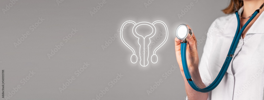 Male urogenital, genitourinary system, reproductive health checkup ...
