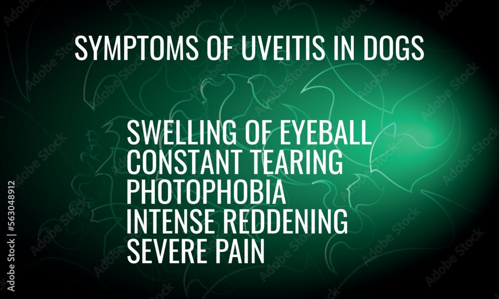 symptoms of Uveitis in dogs. Vector illustration for medical journal or ...