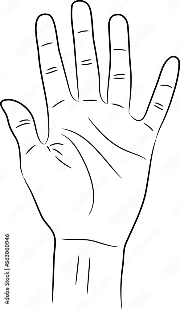 Woman hand an open palm showing splayed five fingers sketch draw from ...