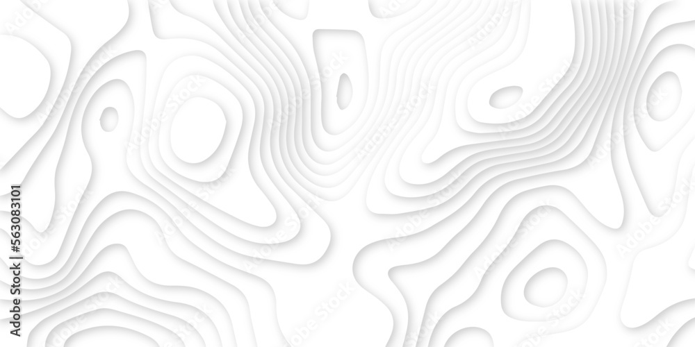 Abstract wavy line 3d paper cut white background. Topographic canyon ...