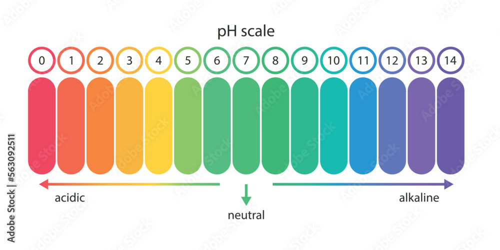 pH value scale chart for acid-alkaline solution. Acid-base balance ...