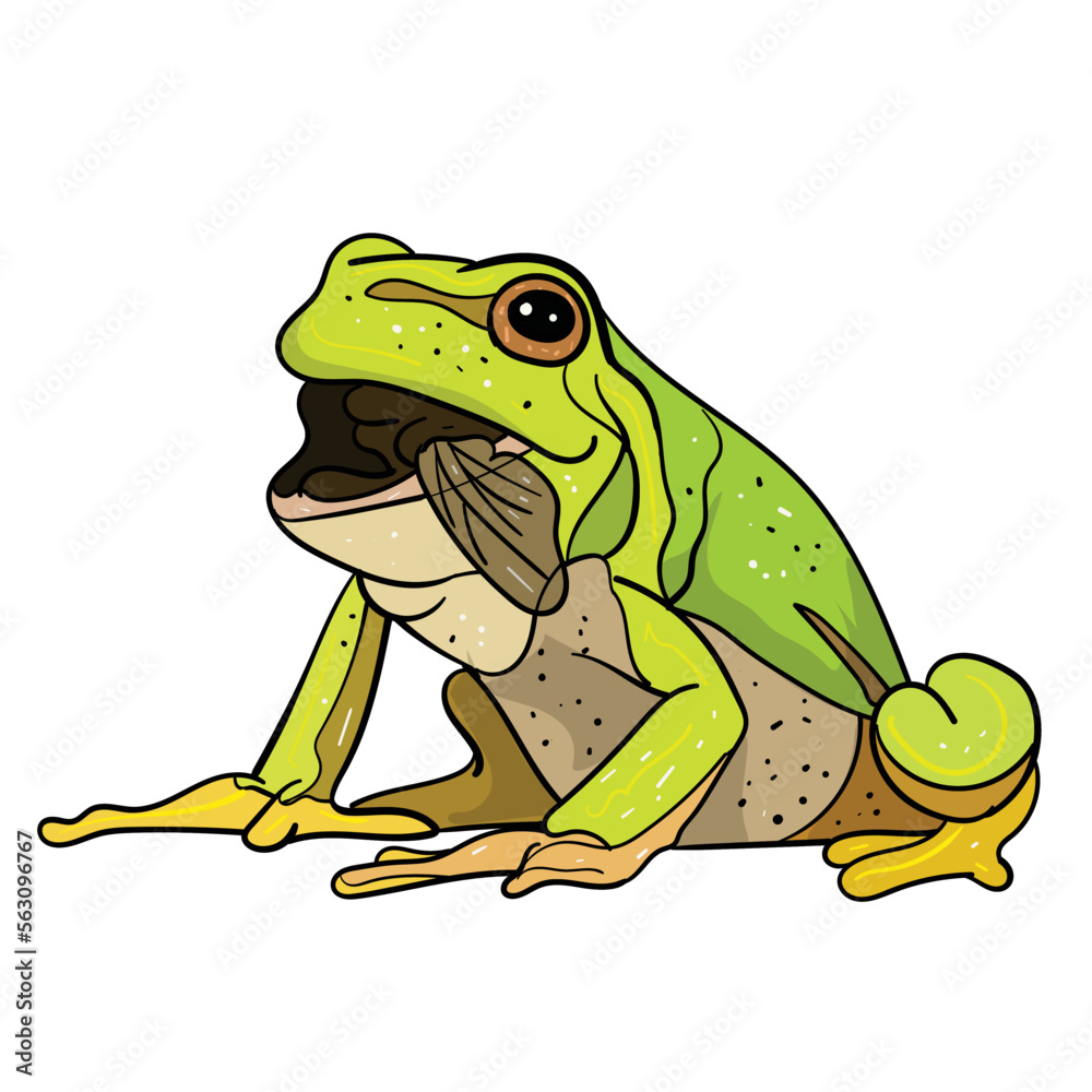 Frog eating an insect vector cartoon Stock Vector | Adobe Stock