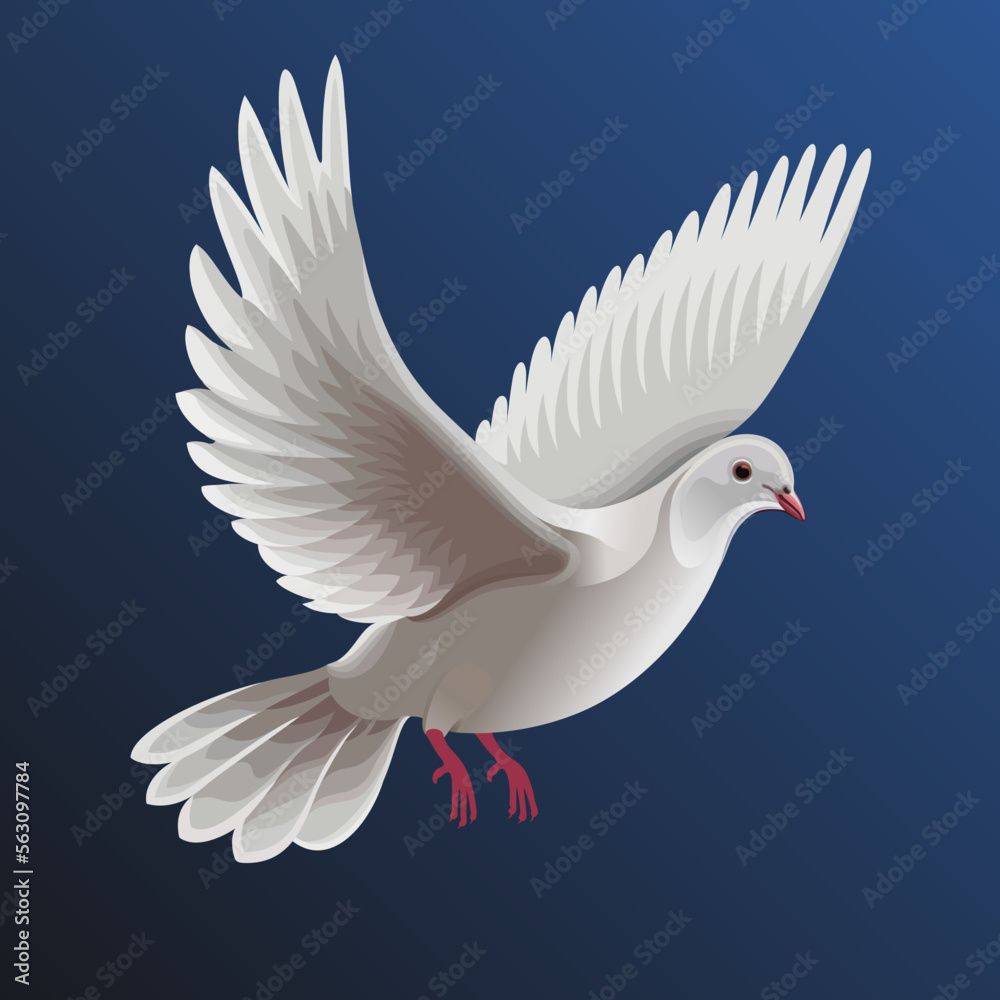 White dove in flight. Vector color illustration. Stock Vector | Adobe Stock