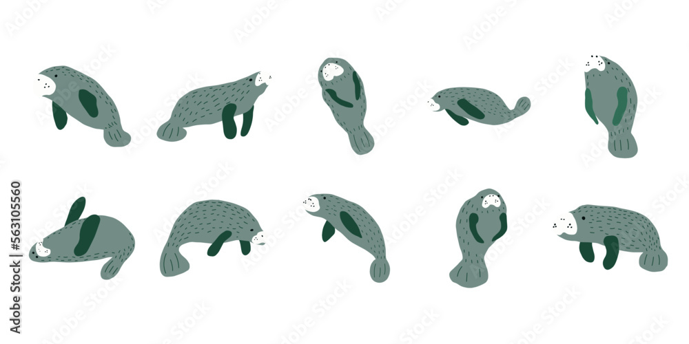 Manatees. Scandinavian style under sea. Save the manatee concept ...