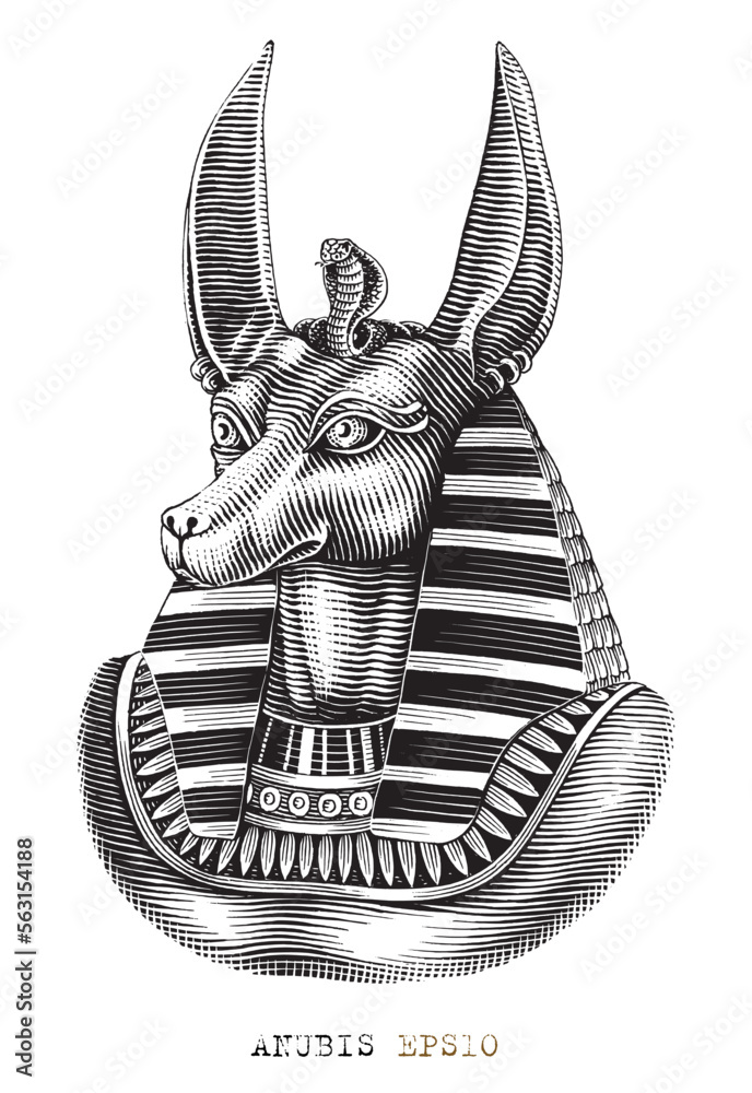 Poster Anubis hand draw engraving style black and white clip art – Wall ...