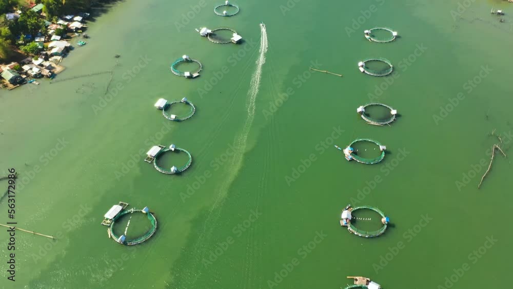 Fish farm with cages for fish and shrimp. Fish ponds for bangus ...