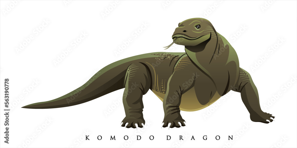 Komodo dragon vector Illustration. Tour and Travel Graphic design for ...