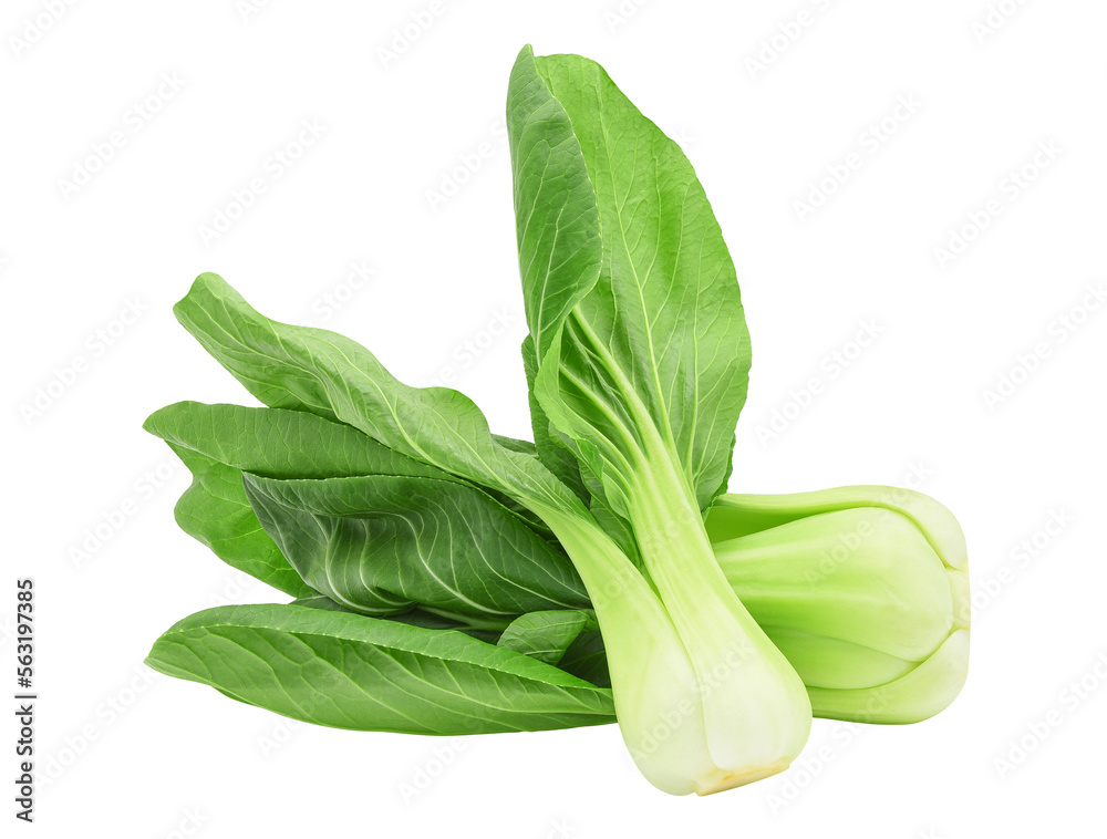 Bok choy (chinese cabbage) isolated on transparent background. PNG ...