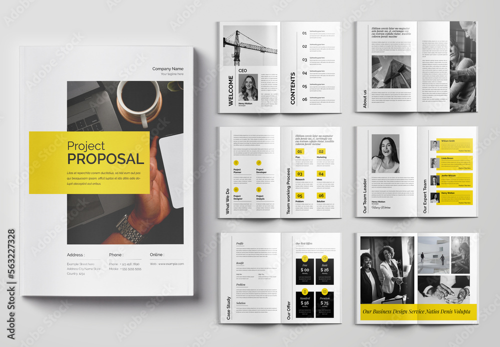 Project Proposal Layout Stock Template | Adobe Stock