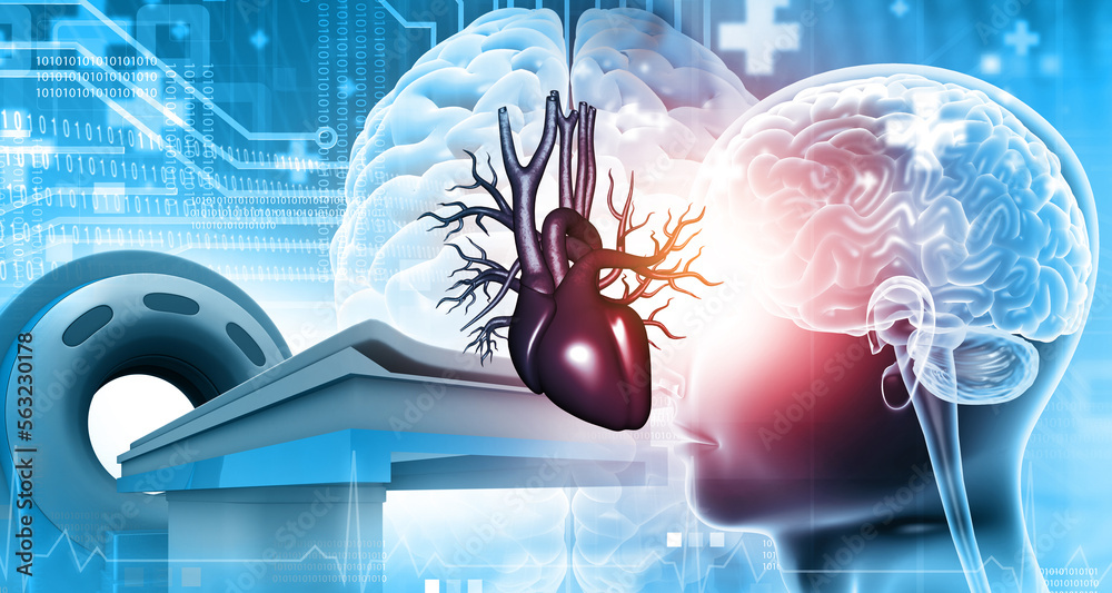 Human heart with brain anatomy with MRI scan machine. 3d illustration ...