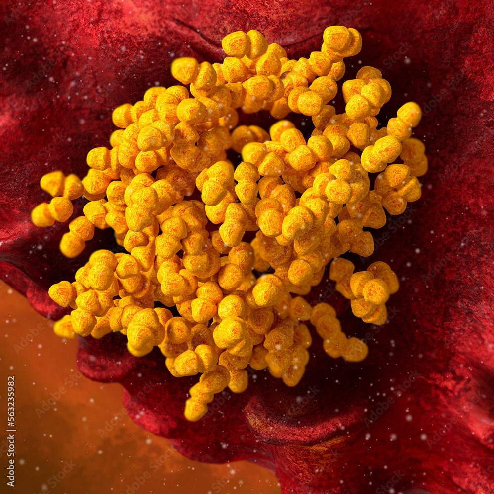 Medical background, Staphylococcus aureus, a type of spherical gram ...