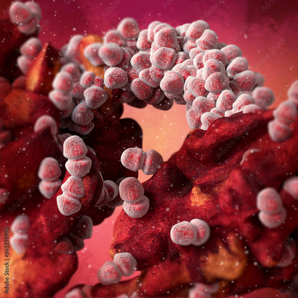 ภาพประกอบสต็อก Medical background, Staphylococcus aureus, a type of ...