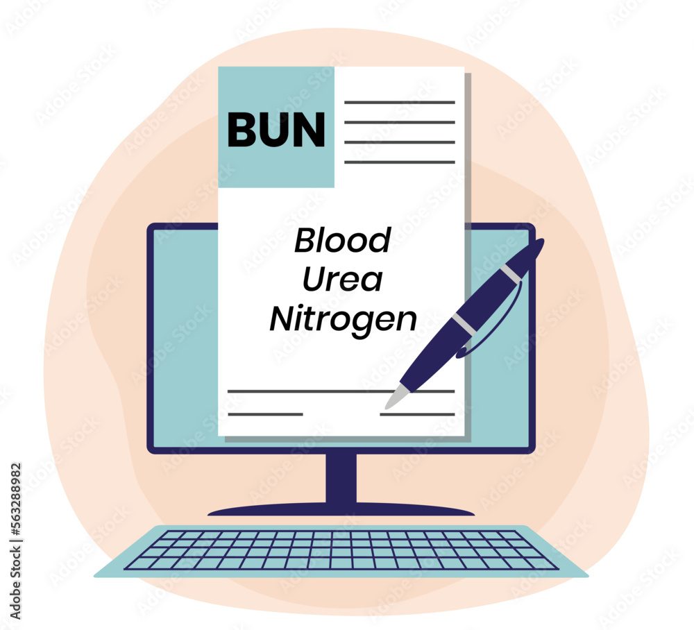 BUN - Blood Urea Nitrogen acronym. medical concept background. Vector ...