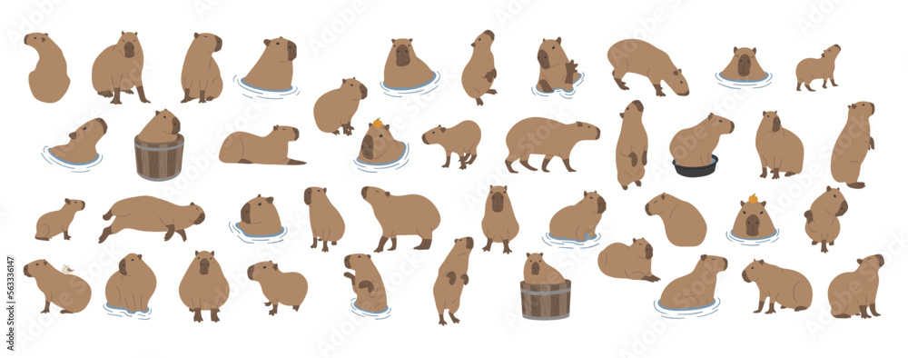 capybara collection 1 cute on a white background, vector illustration ...