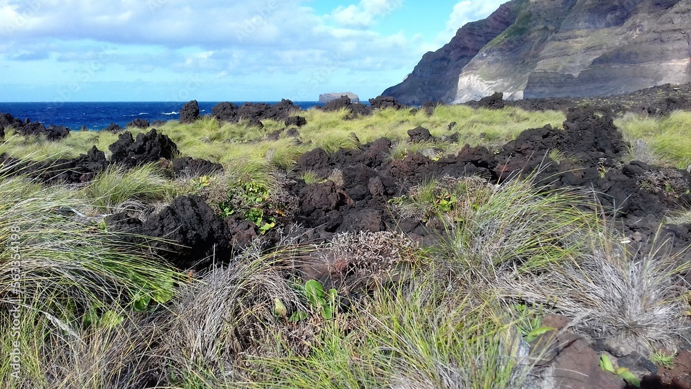 Falaise basaltique sur l'océan atlantique au ponta do Escalvado sur l ...