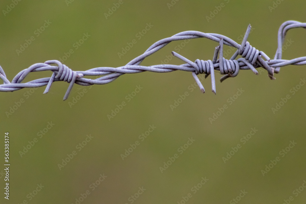 Old barbwire fence or military fence restricted agricultural field ...