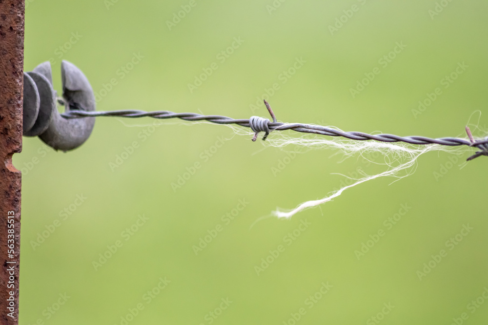 Old barbwire fence or military fence restricted agricultural field ...