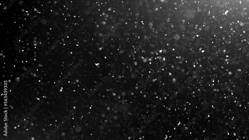Winter real snowfall effect Snow storm isolated black background in 4K ...