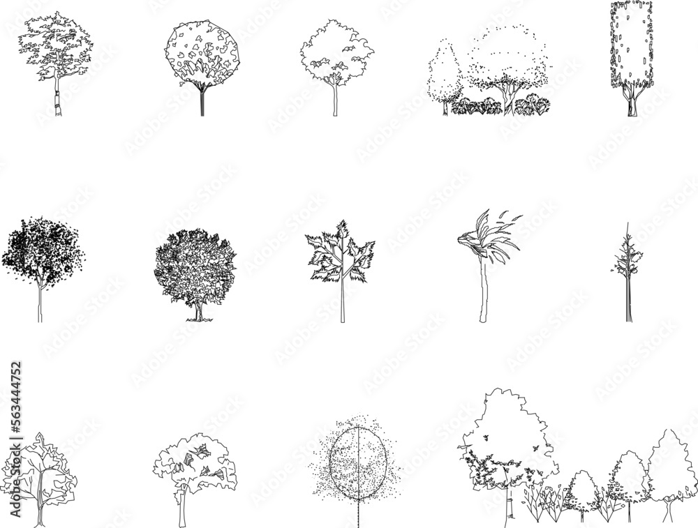 black and white front view vector sketch of plant illustration Stock ...