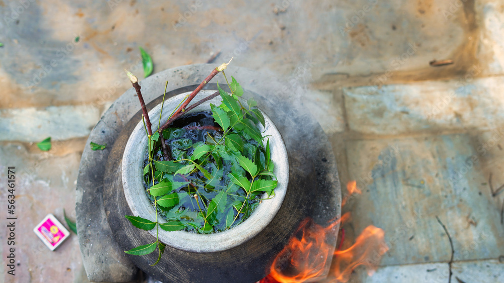 Green Neem leaves known as Azadirachta indica boiled in water on chulha ...