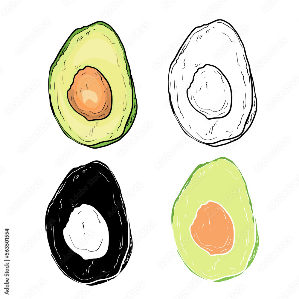 Cute set with realistic avocado vector illustration. Four different ...