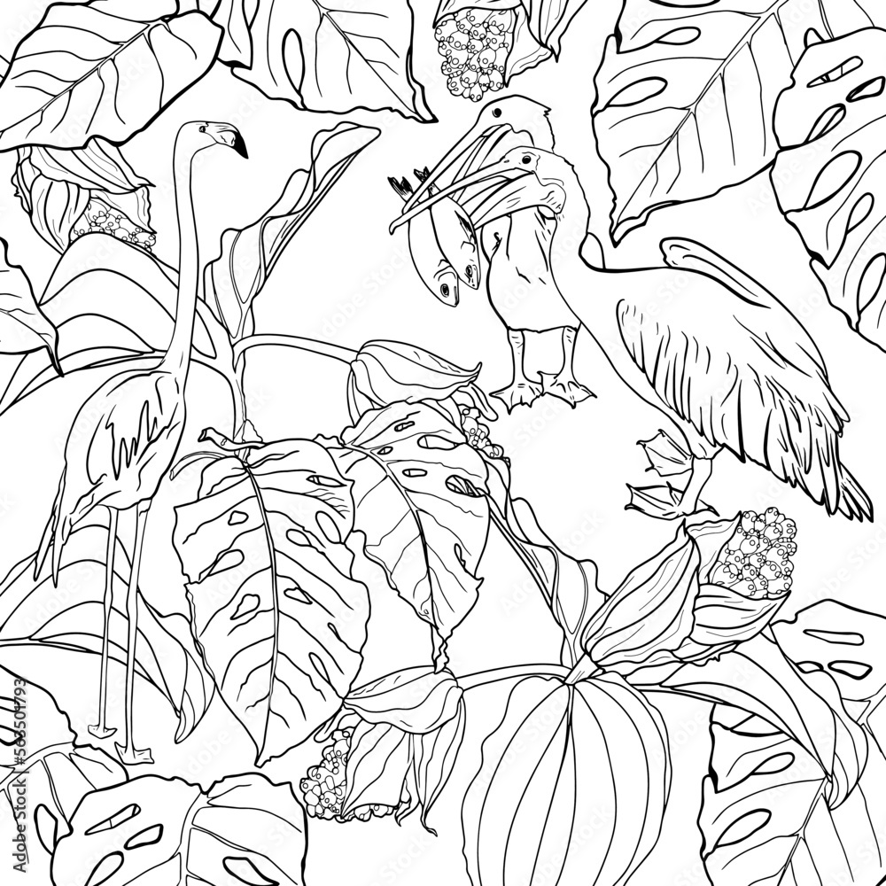 Tropical Plants Coloring Pages
