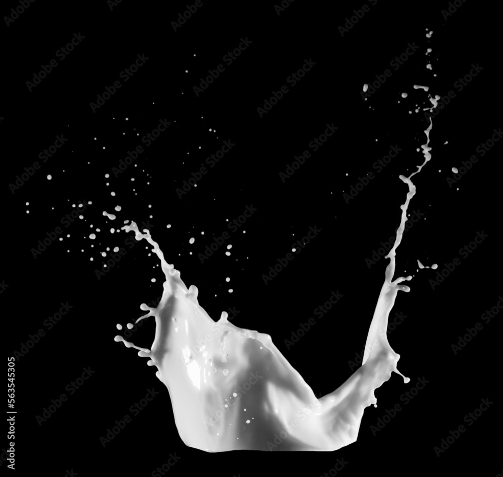 Pure milk splash isolated on black background. Royalty high-quality ...