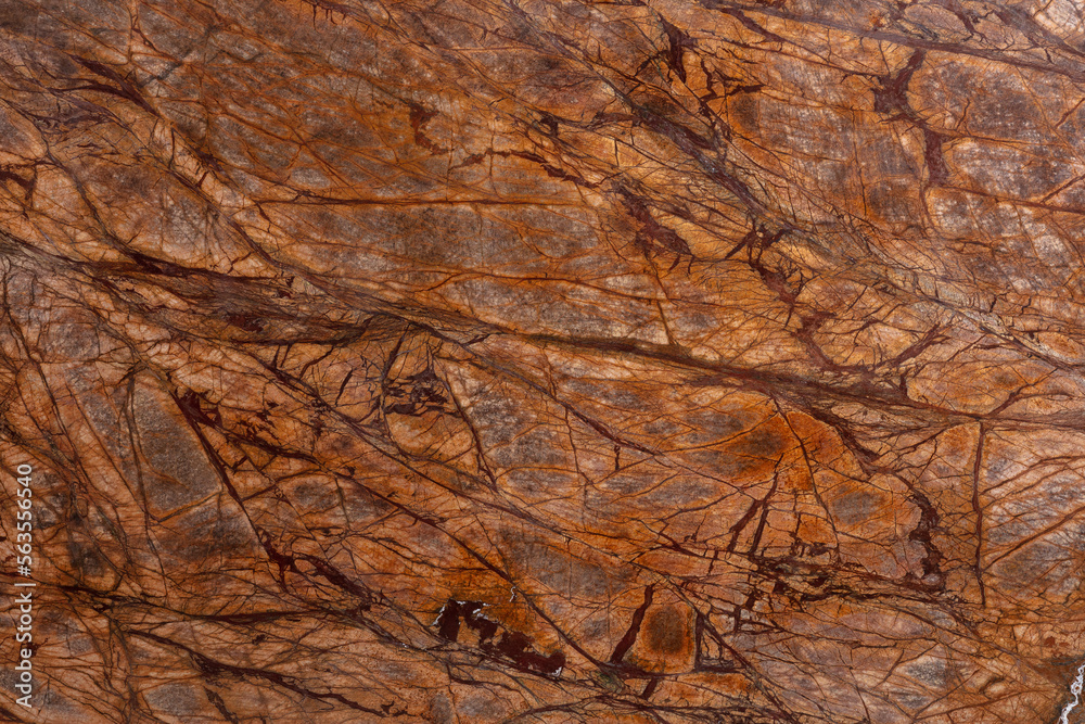 Bidasar Brown. Rainforest Brown Detail slab photo. Light brown marble ...
