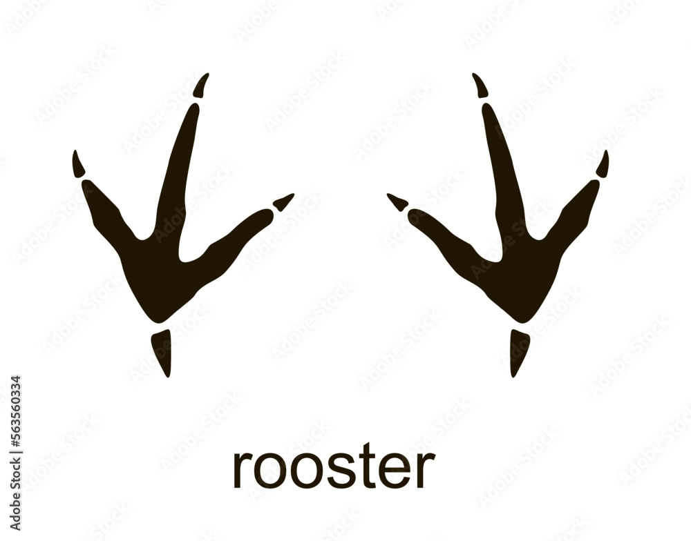 Rooster, Chicken footprint. Cock stamp. Chicken, rooster foot print ...