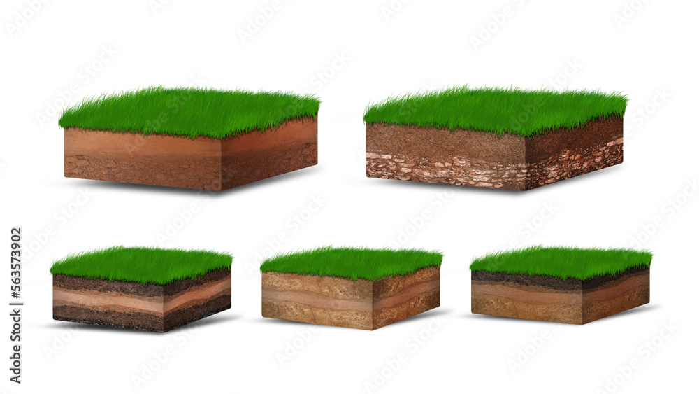 Isometric Soil Layers diagram, Cross section of green grass and ...