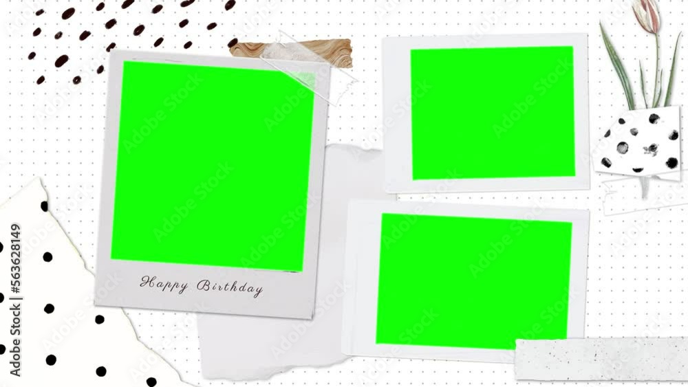 polaroid template animation with green screen chroma key vídeo de Stock ...