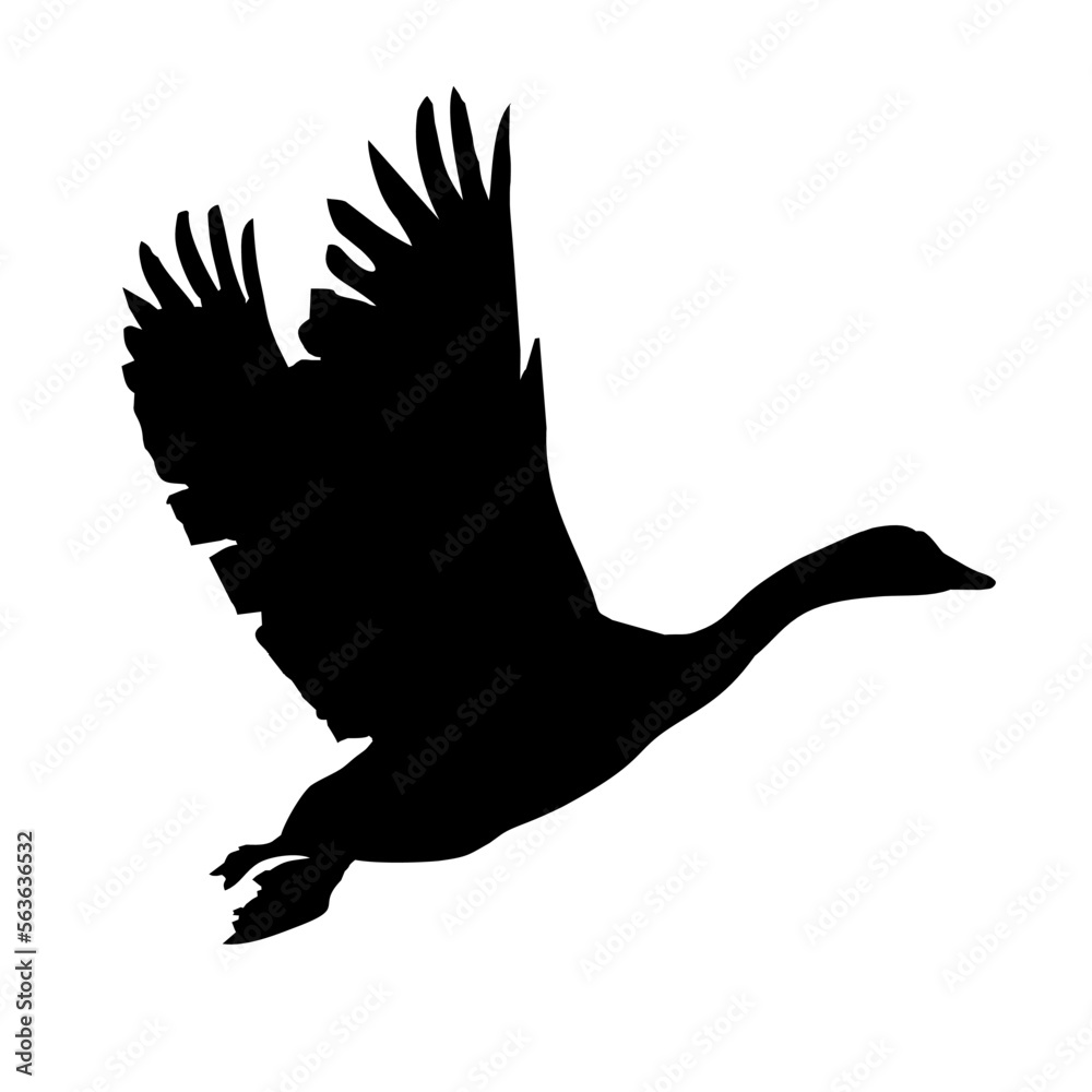 Flying Grouse Silhouette