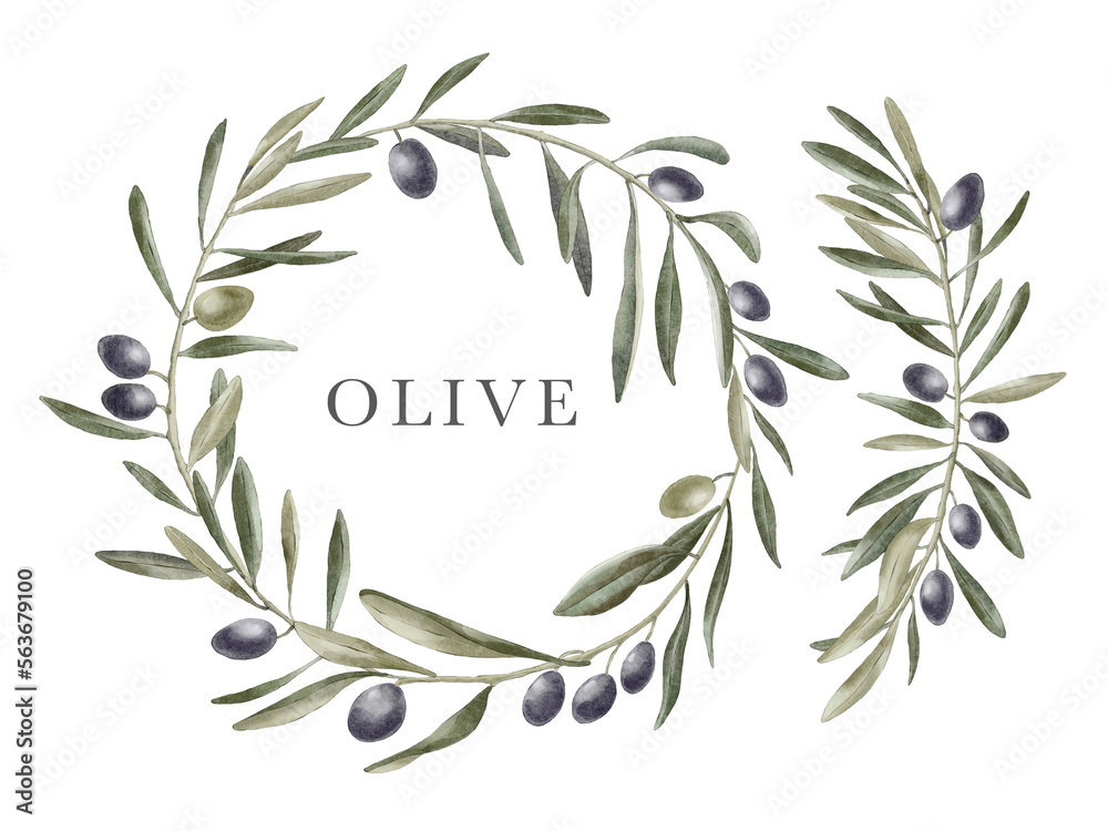 Olive wreath in watercolor style on a transparent background. Hand ...