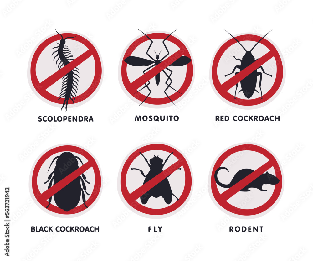 Stop Insect Ban Sign with Red Cross Circle and Bug Inside Vector Set ...