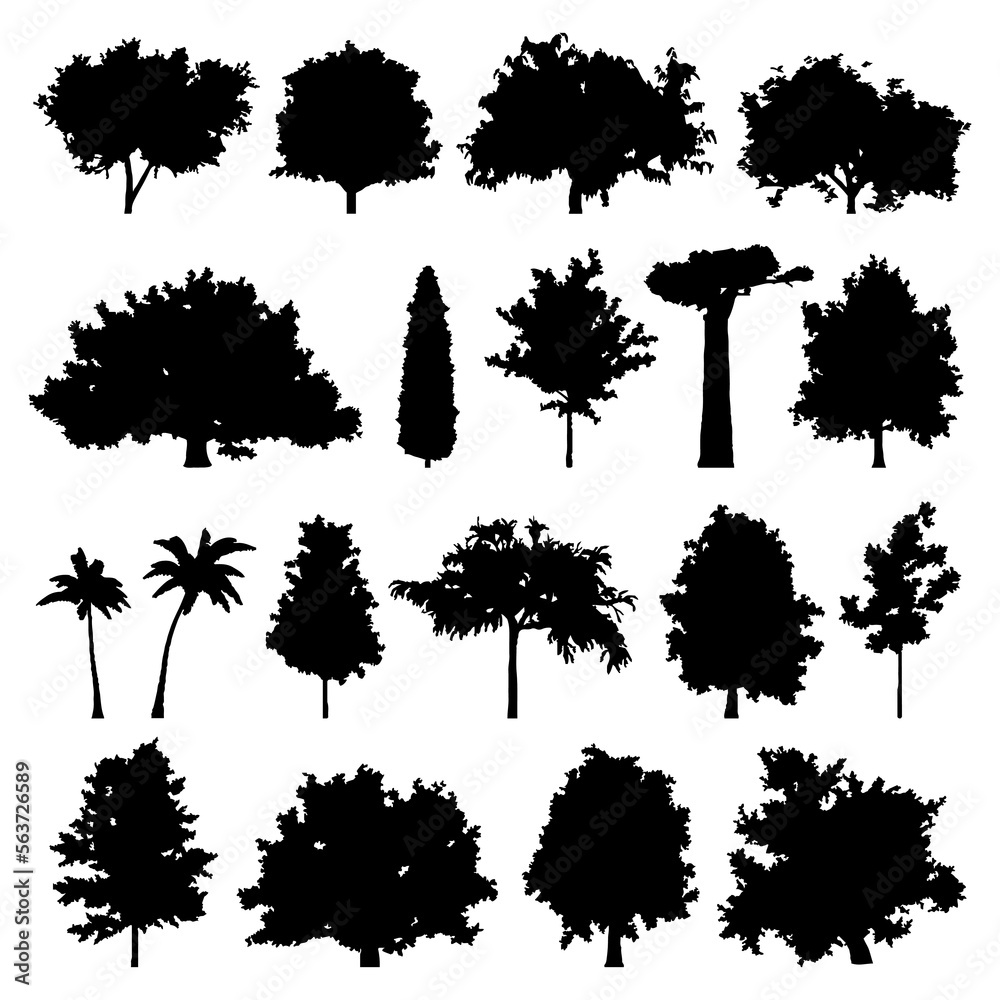 Deciduous tree silhouette collection. Set of deciduous tree silhouette ... Deciduous tree silhouette collection. Set of deciduous tree silhouette ...