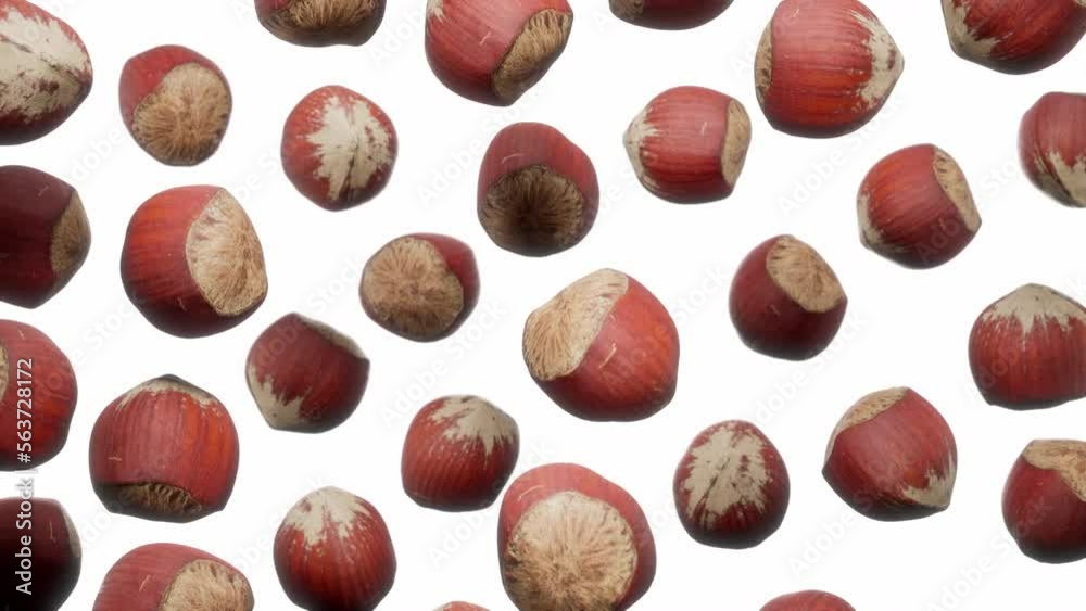 Looping animation featuring a cloud of Hazelnuts floating in place on a ...