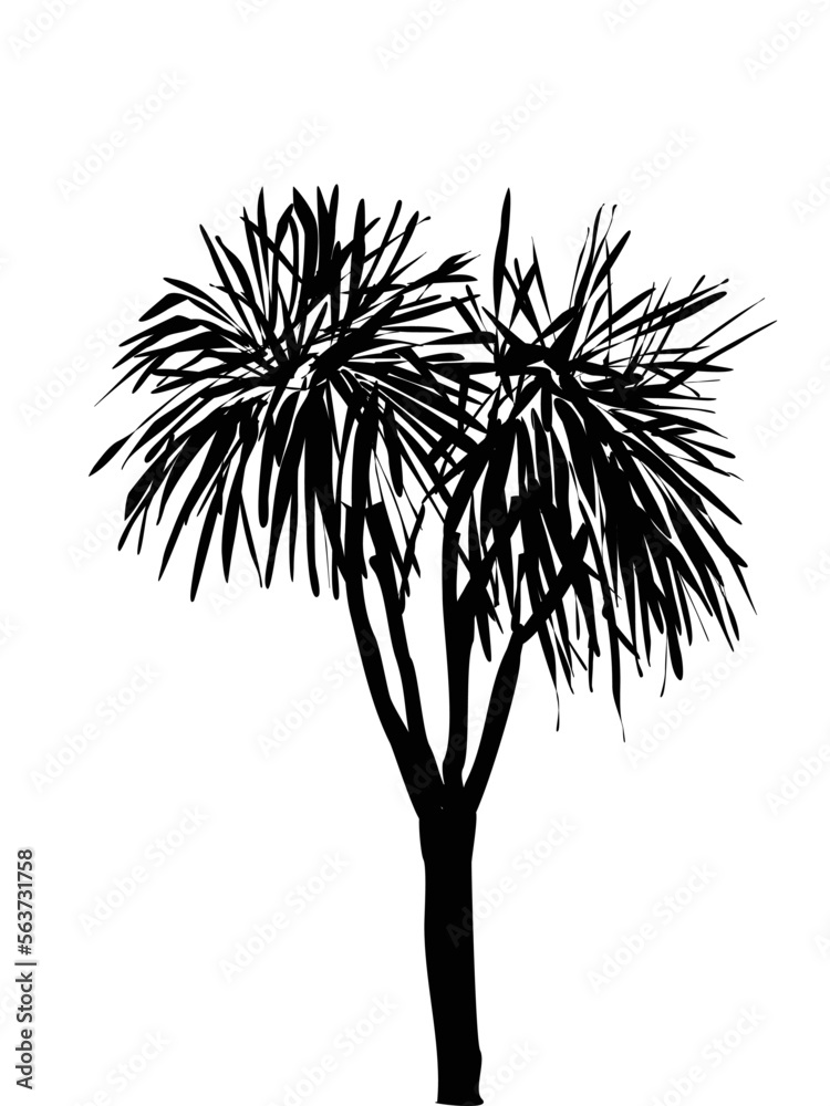 NZ cabbage tree silhouette, tī kōuka native tree Stock Vector | Adobe Stock