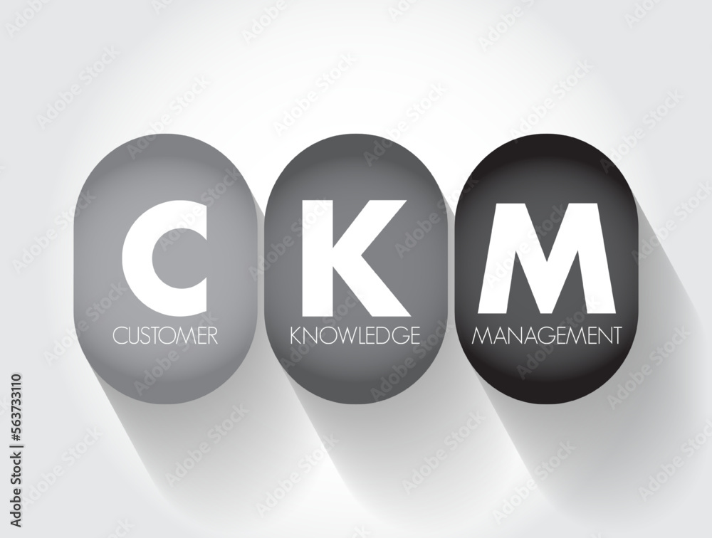 CKM Customer Knowledge Management - emerges as a crucial element for ...