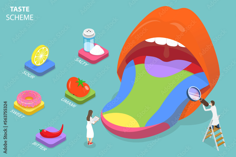 3D Isometric Flat Vector Conceptual Illustration of Taste Schema ...