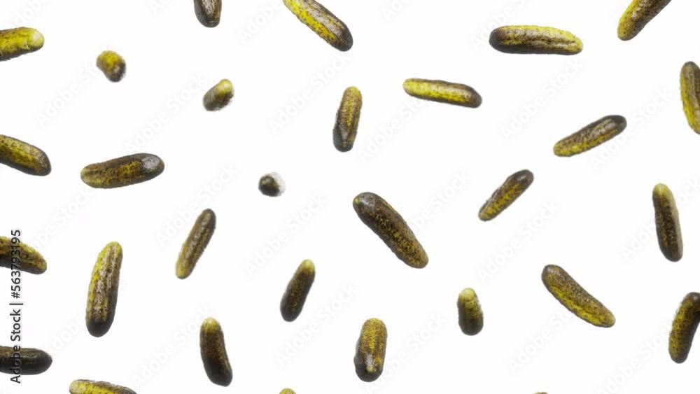 Looping animation featuring a cloud of Pickles floating in place on a ...