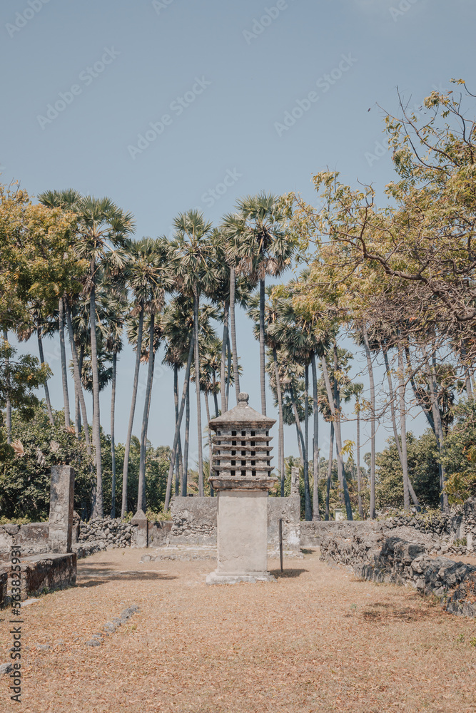 Delft Island, Sri Lanka - March 5th, 2022 : Pigeon nest on Delft ...