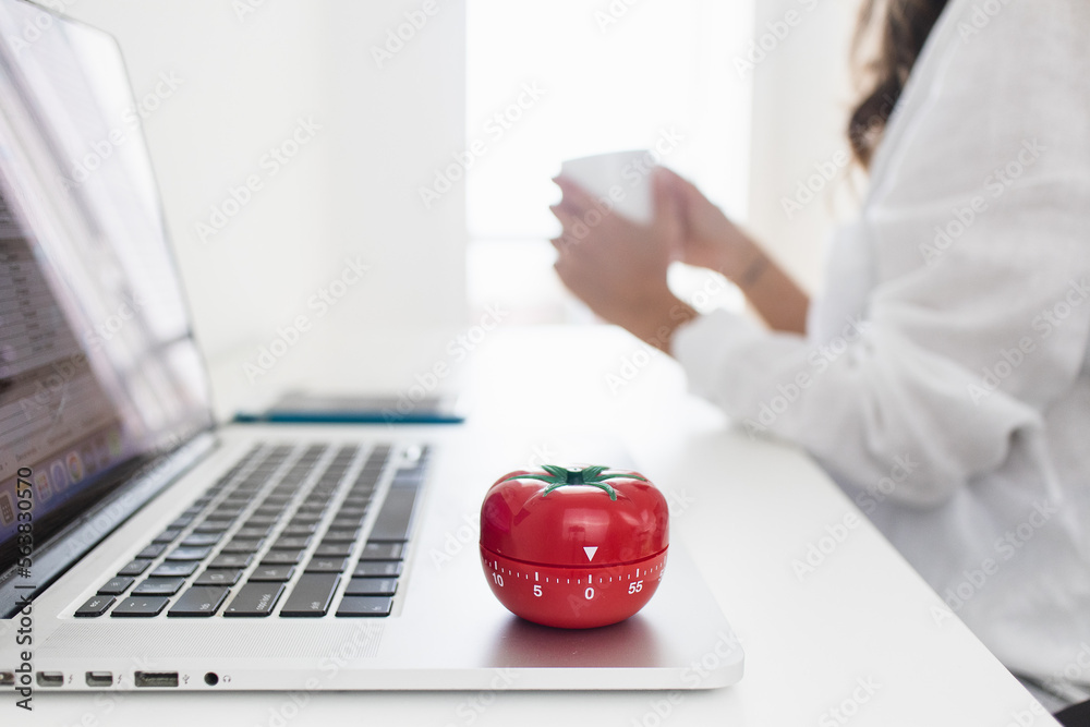 Poster Productivity Pomodoro Technique Home Office – Wall Art | UkPosters