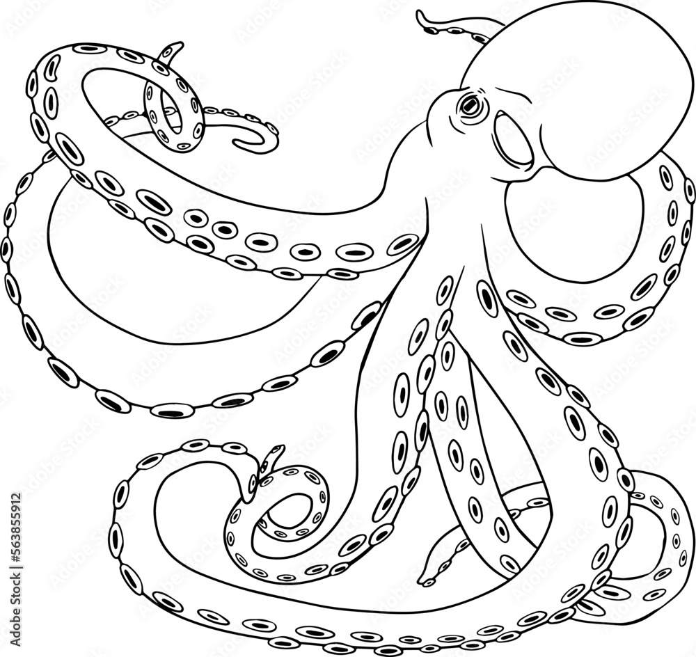 Octopus. Hand drawn underwater creatures. Vector sea life, seafood ...
