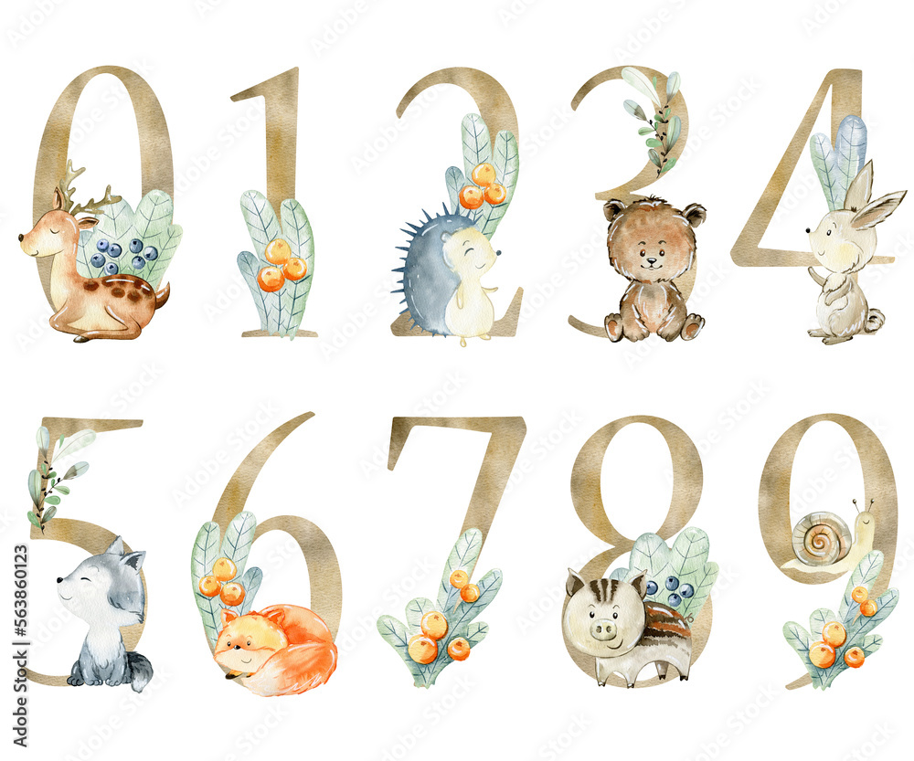 Watercolor woodland animals numbers for invitation card, nursery poster ...