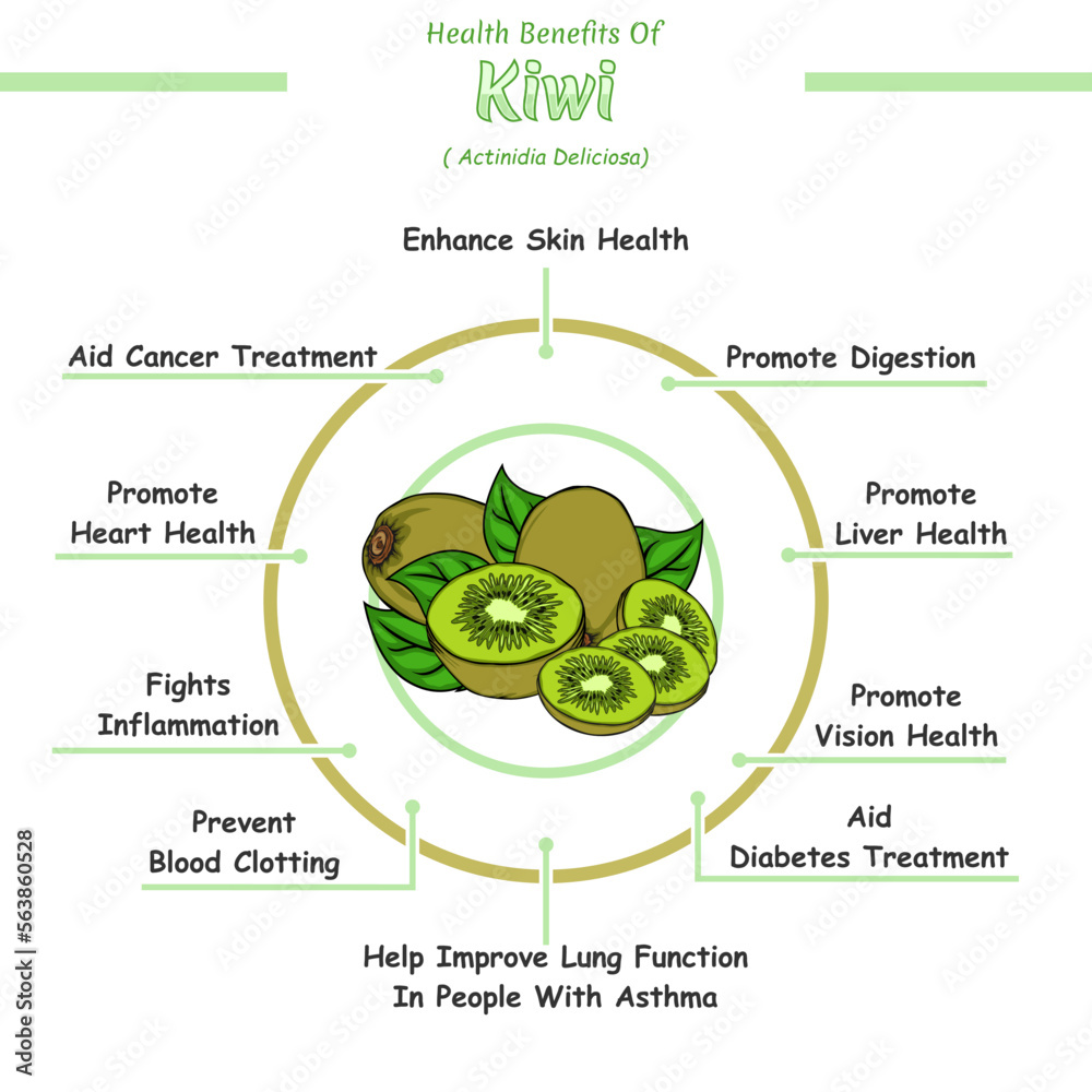 Health benefits of a kiwi Stock Vector | Adobe Stock