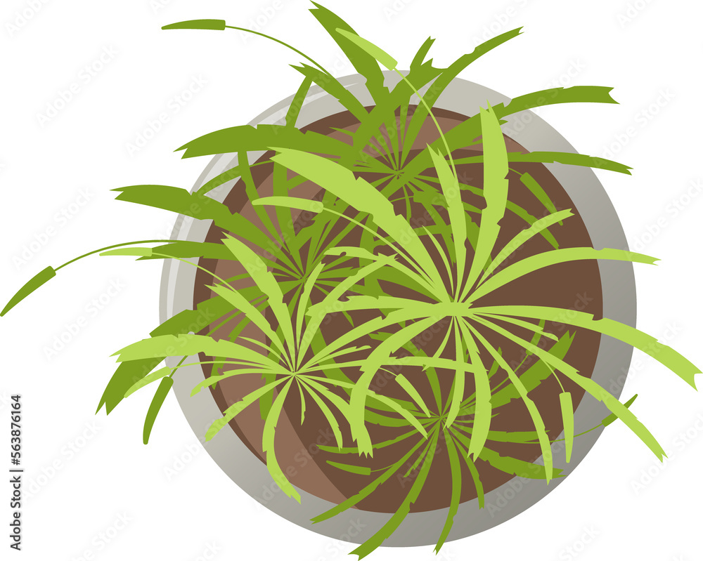 Plant in pots top view for plan of green spaces. Colored plant in pot ...