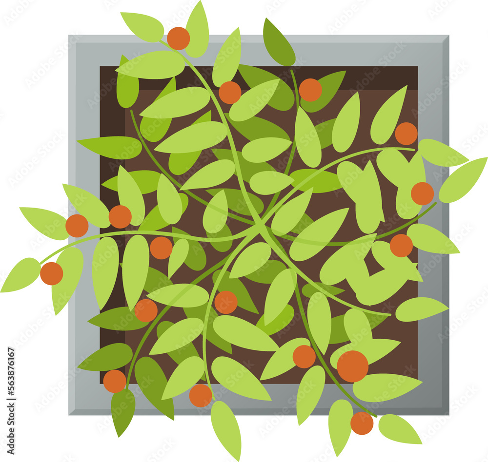 Plant in pots top view for plan of green spaces. Colored plant in pot ...