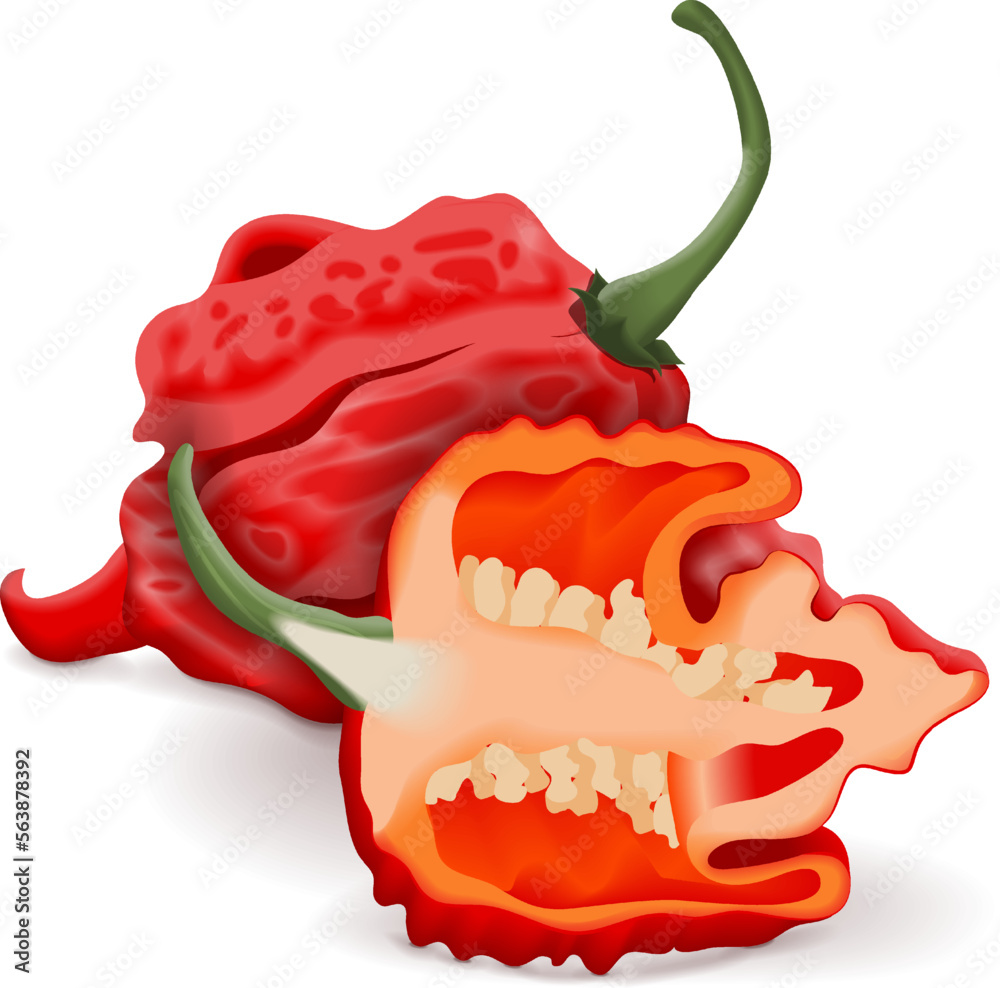 Whole and half of Carolina Reaper peppers. HP22B. Capsicum chinense ...