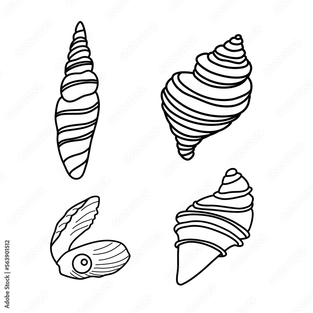 Seashells line art. Graphics seashell. Coral and seaweed. A vector ...