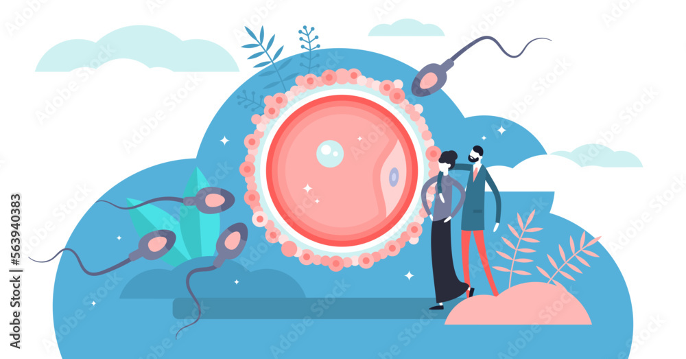 Fertilization illustration, transparent background. Flat tiny baby ...
